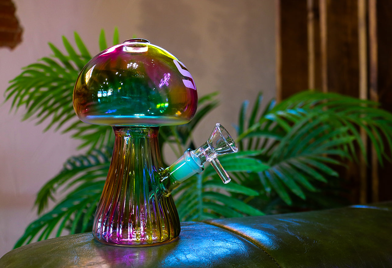 Best Smokers Subscription Box | Smoke Boxes Delivered | Elevated Stash